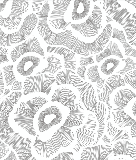 Flirty Floral Custom Wallpaper – Wallpapers By T
